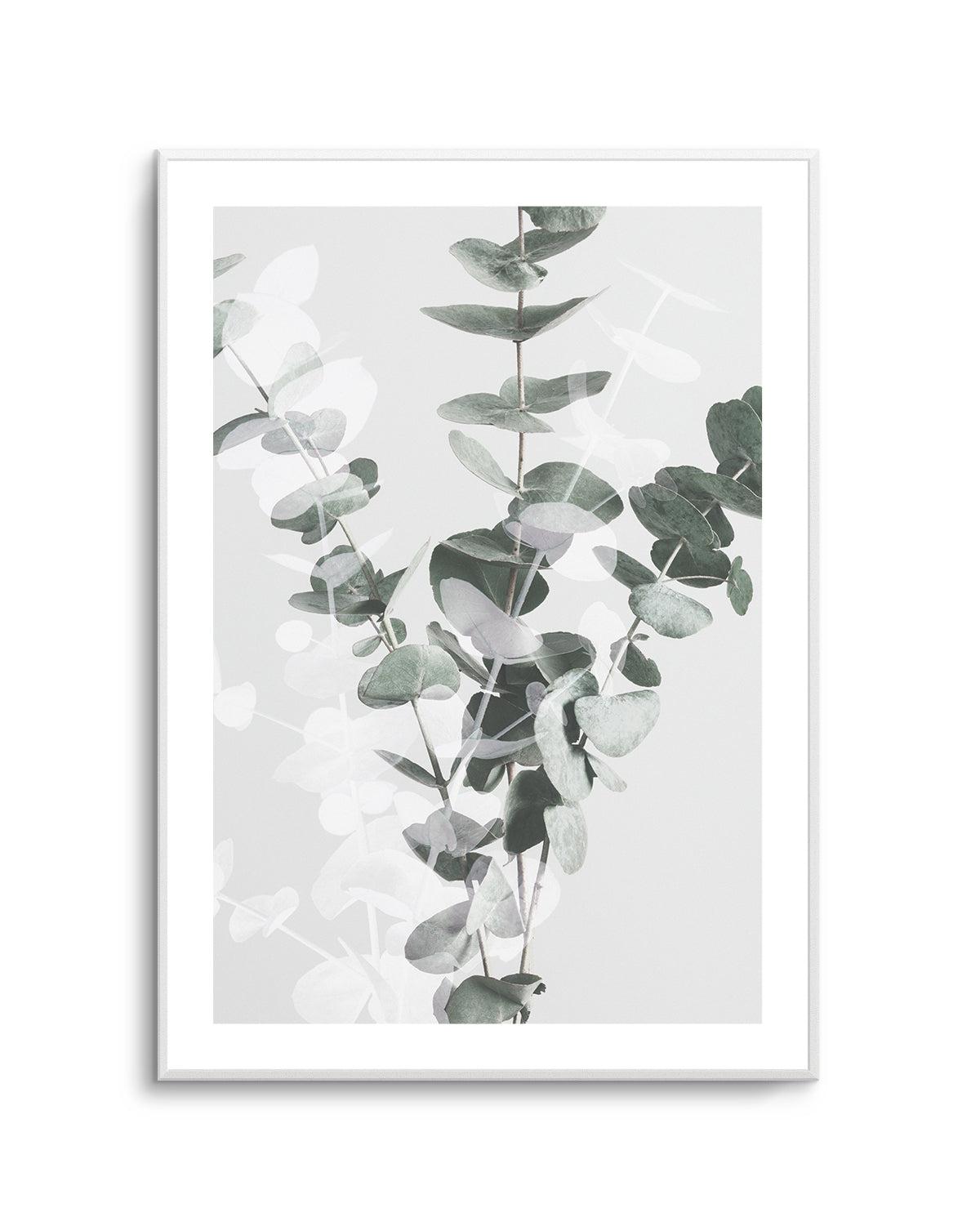 Eucalyptus II By Studio III | Art Print – Olive et Oriel