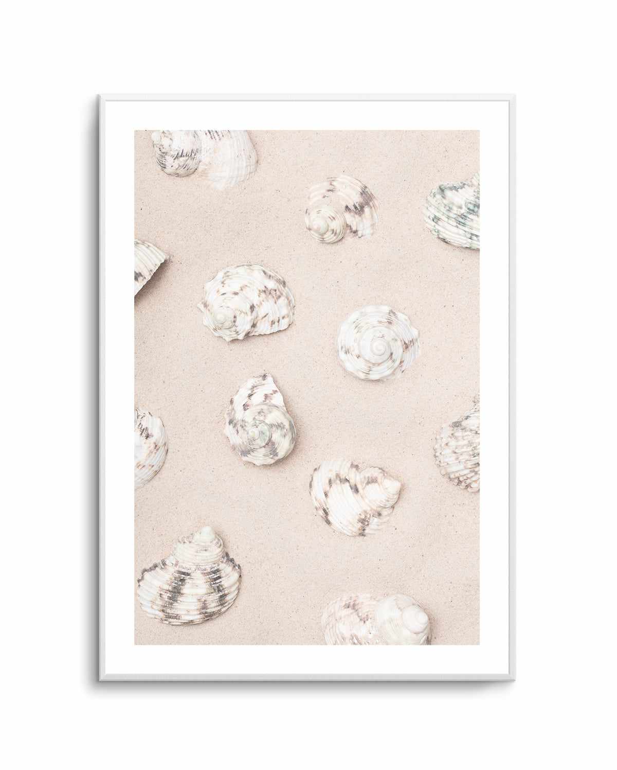 Shells 2 By Studio III | Art Print – Olive et Oriel