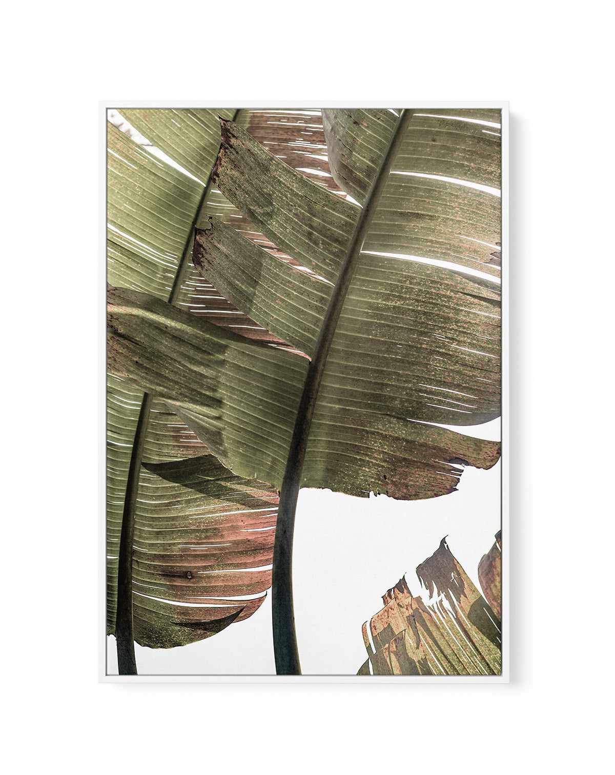 Gold Leaf By Clint | Framed Canvas Art Print – Olive et Oriel