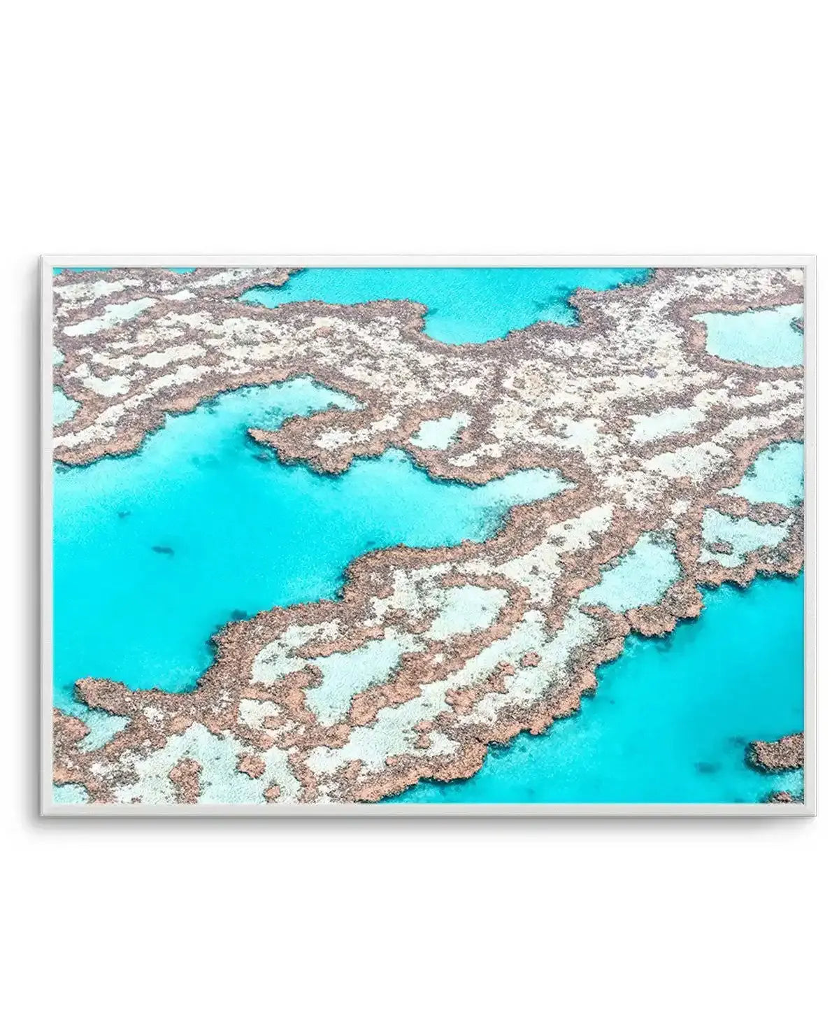 Aerial Photography Wall Art Print | Great Barrier Reef III – Olive et Oriel