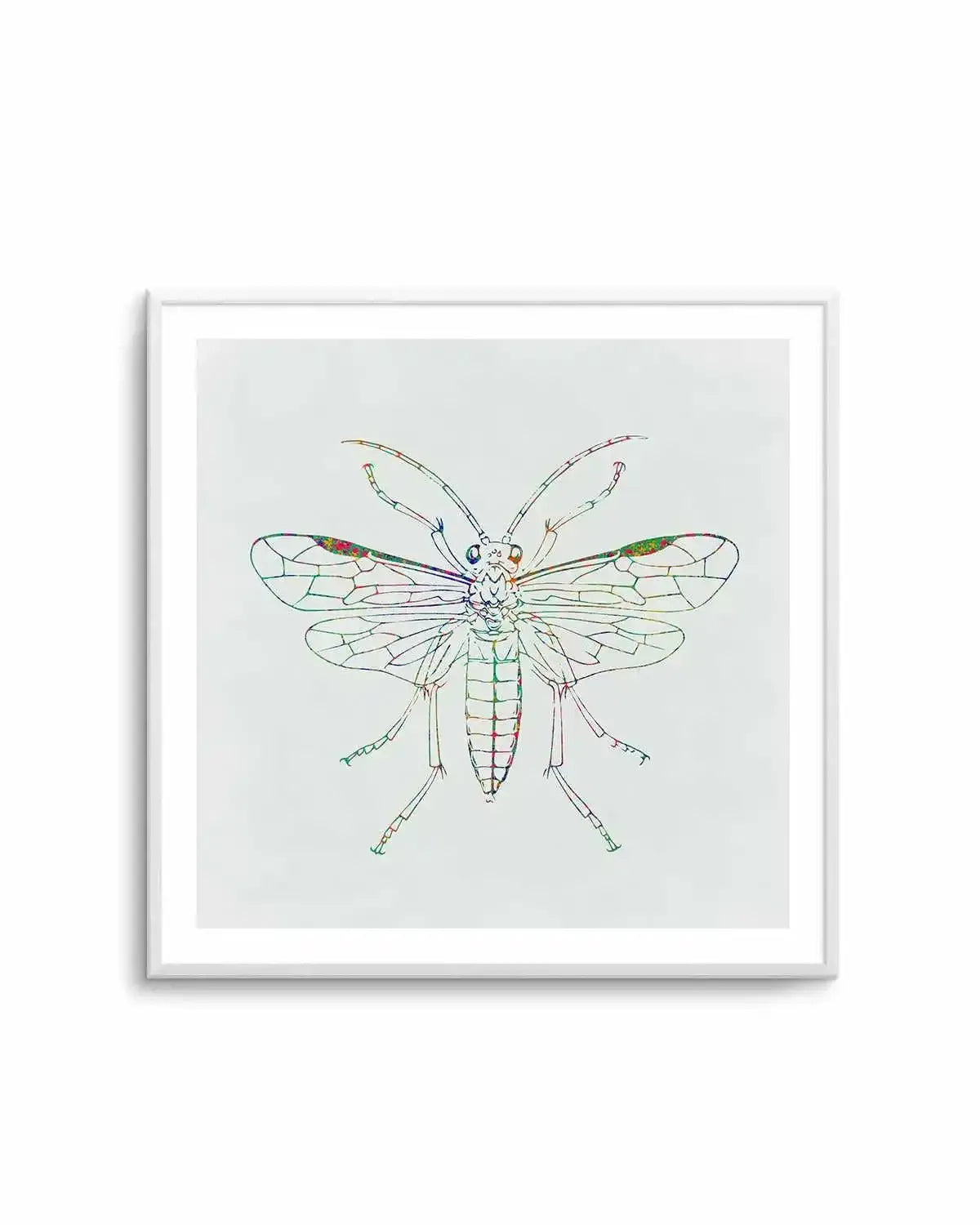 Buy 'Insect Line' Wall Art Print | Next Day Shipping! – Olive et Oriel