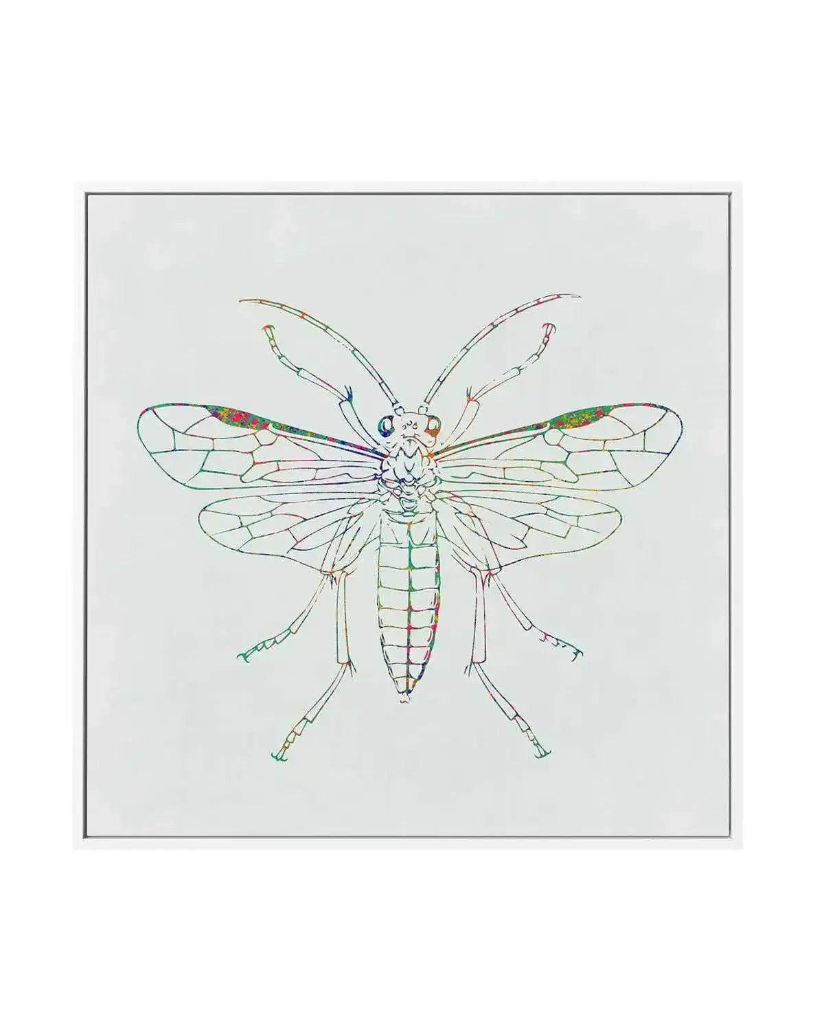 Buy 'Insect Line' Framed Canvas Art Print | Next Day Shipping! – Olive ...