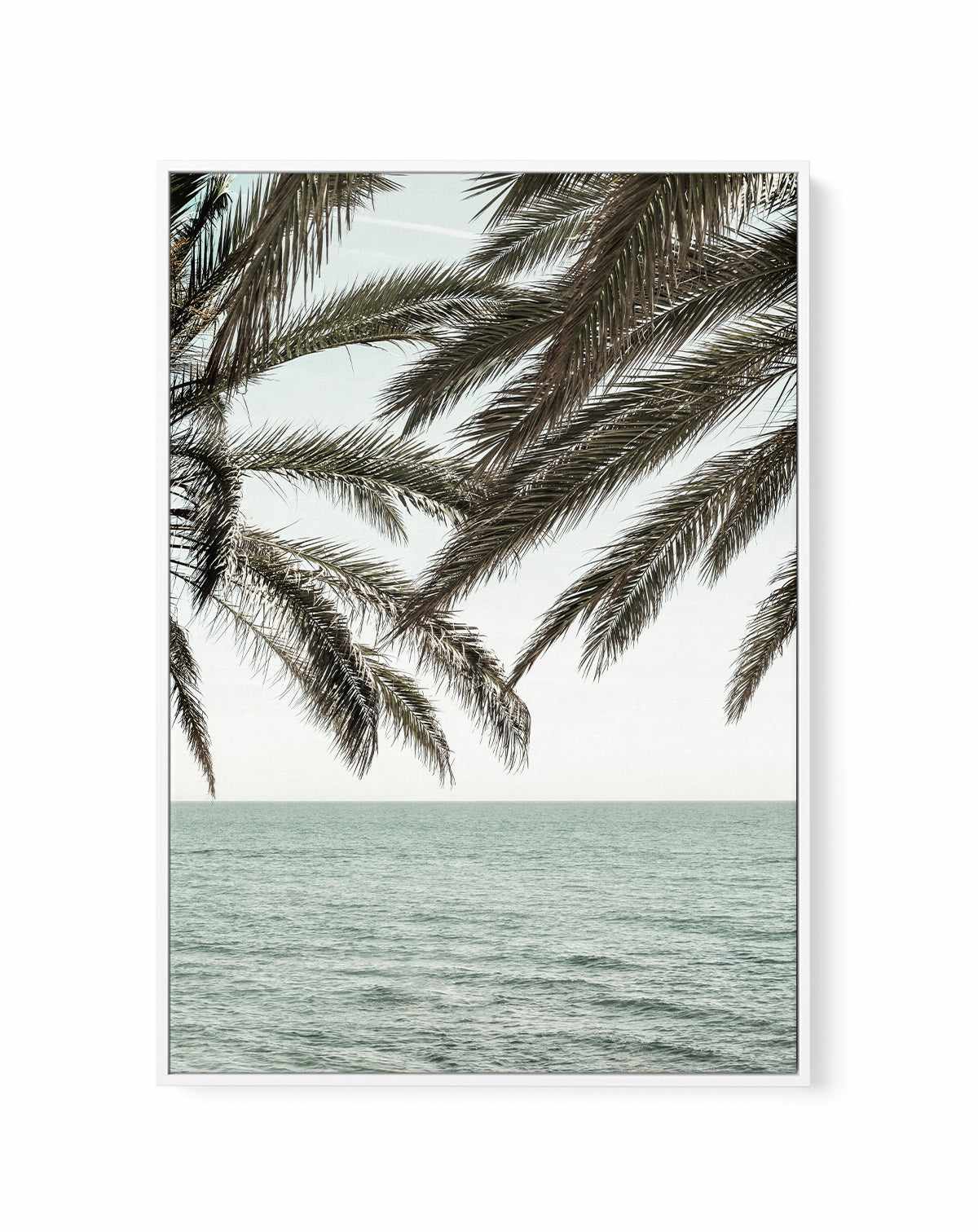 Solaris IV By Studio III | Framed Canvas Art Print – Olive et Oriel