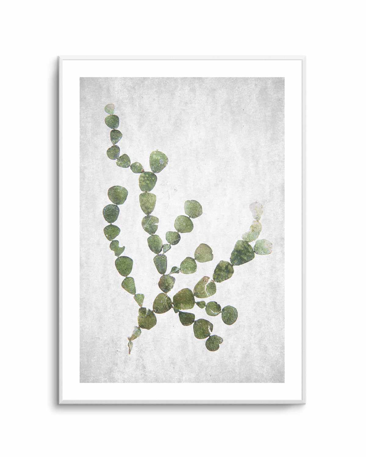 Spring Tide 02 By Clint | Art Print – Olive et Oriel