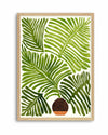 Summer Fern By Kristian Gallagher | Art Print – Olive et Oriel