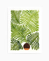 Summer Fern By Kristian Gallagher | Art Print – Olive et Oriel
