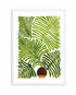 Summer Fern By Kristian Gallagher | Art Print – Olive et Oriel