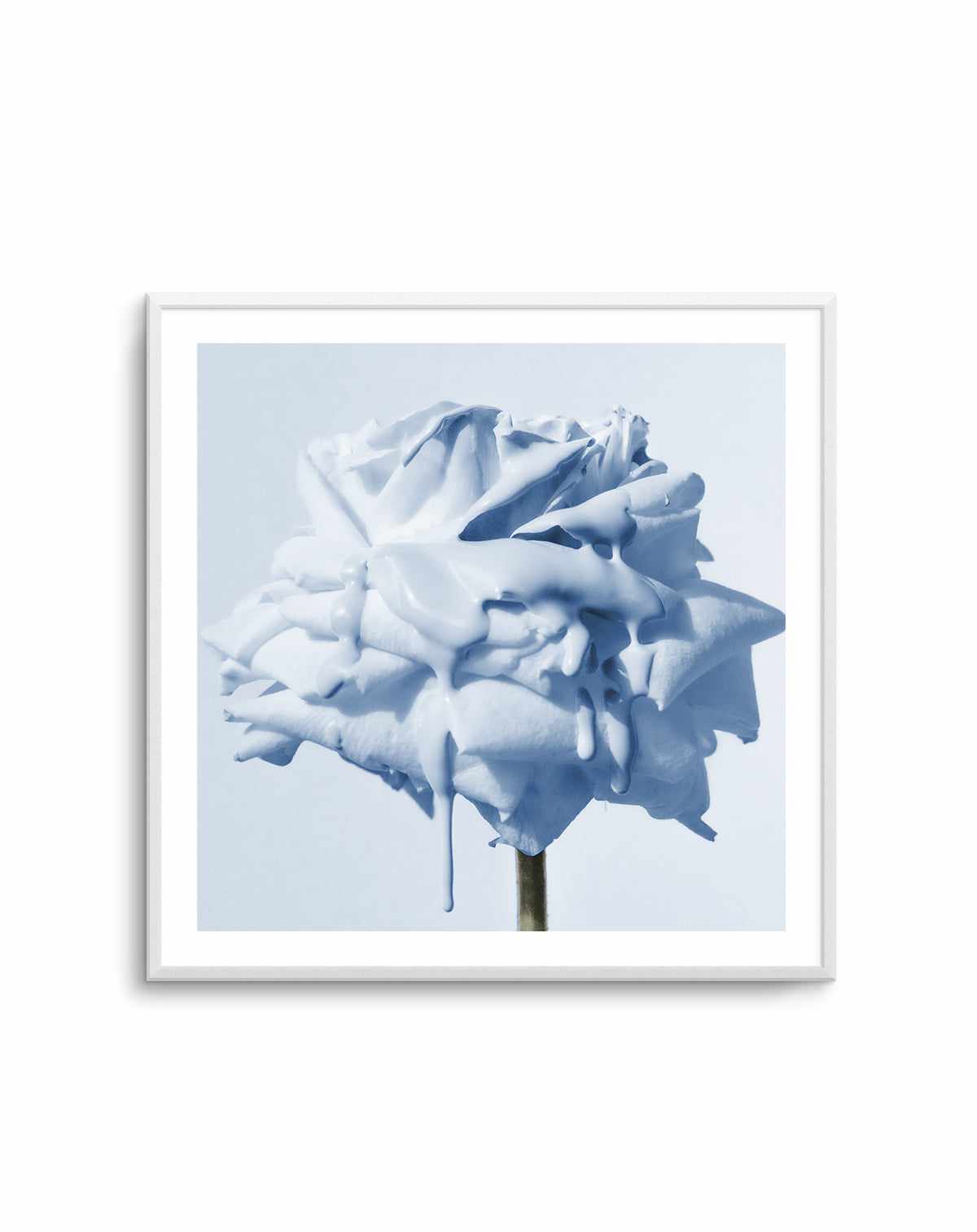 Wild Blue Rose | Art Print – Olive et Oriel