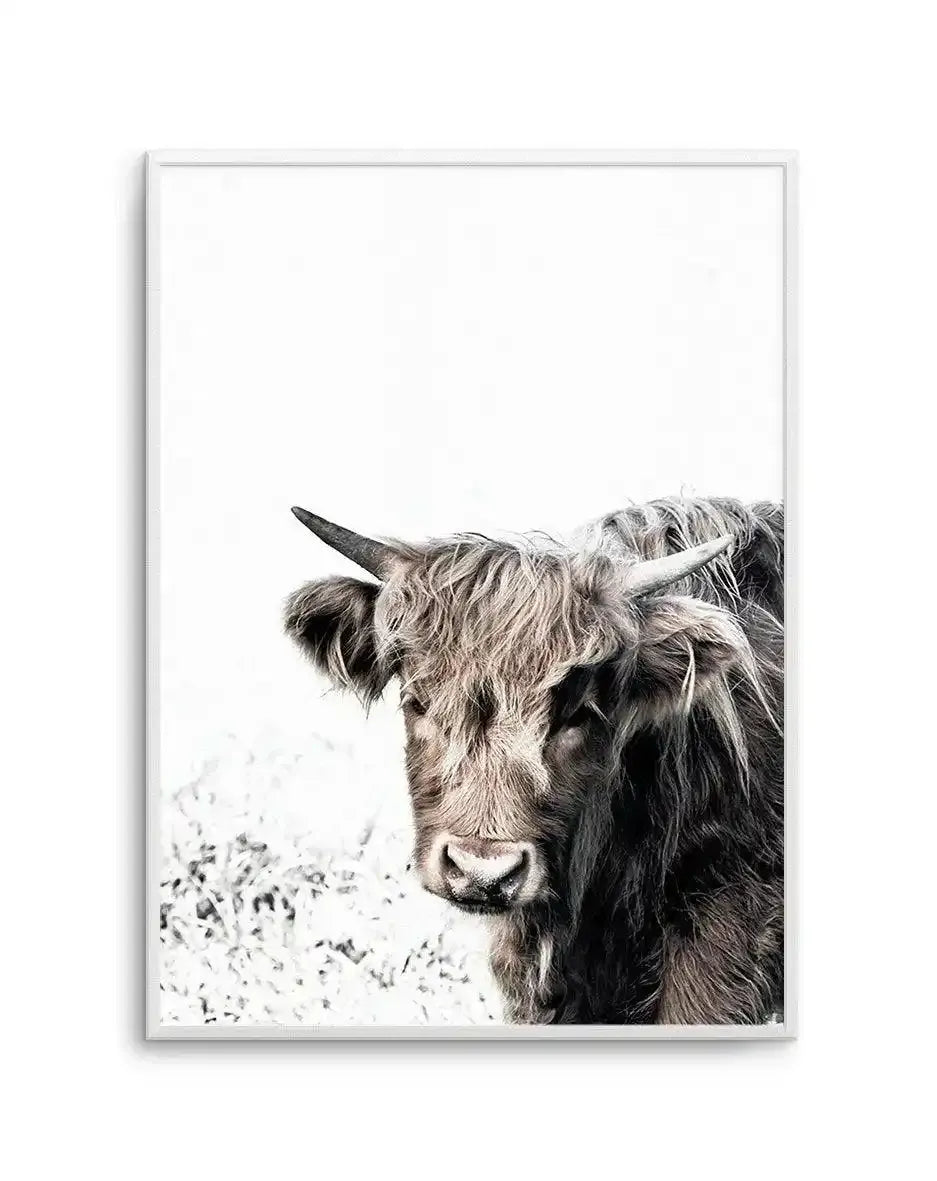 Arthur | Highland Cow Art Print or Poster. Framed Available – Olive et ...