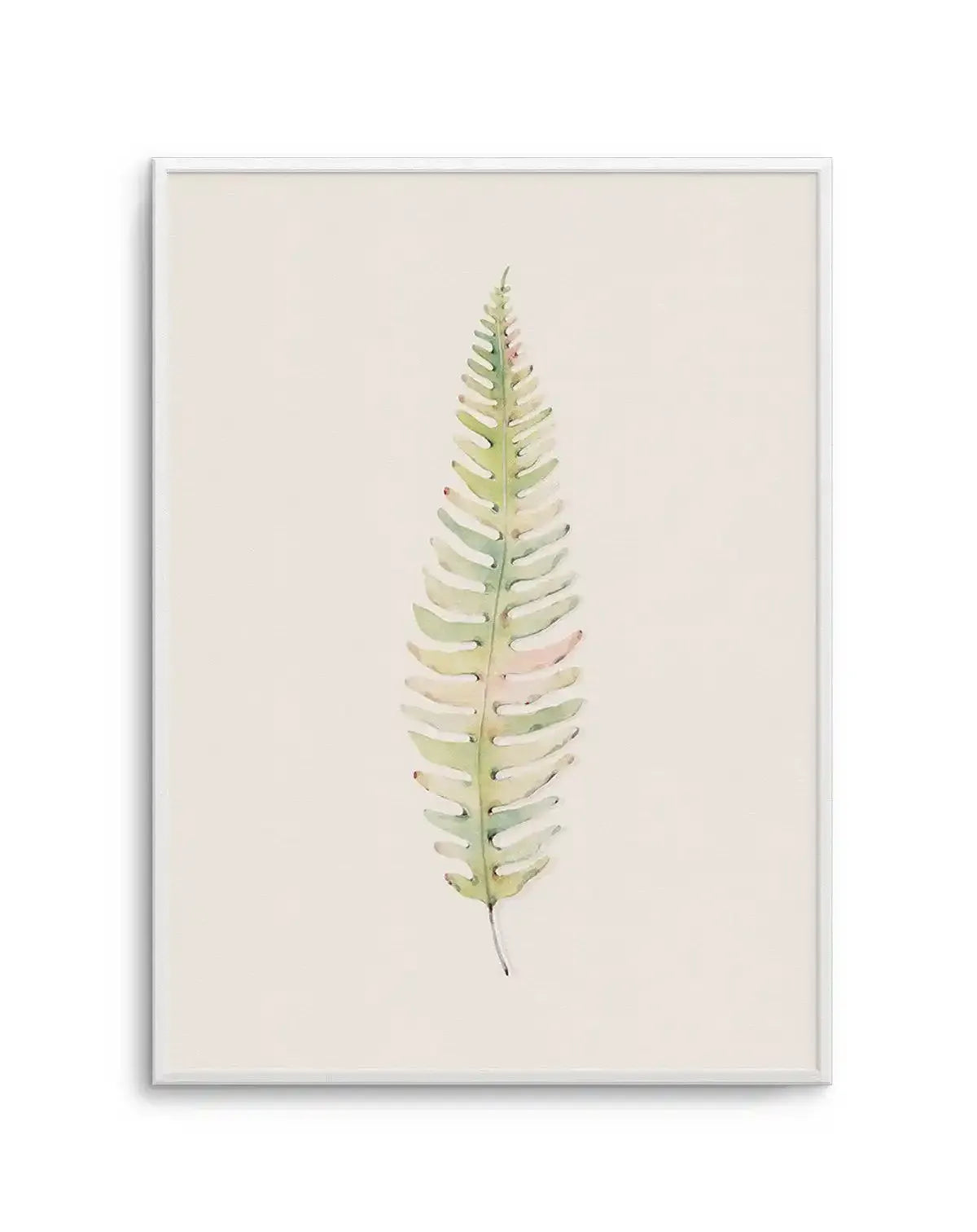 SHOP Boho Botanical Watercolor Blush Fern Illustration Fine Art Print ...