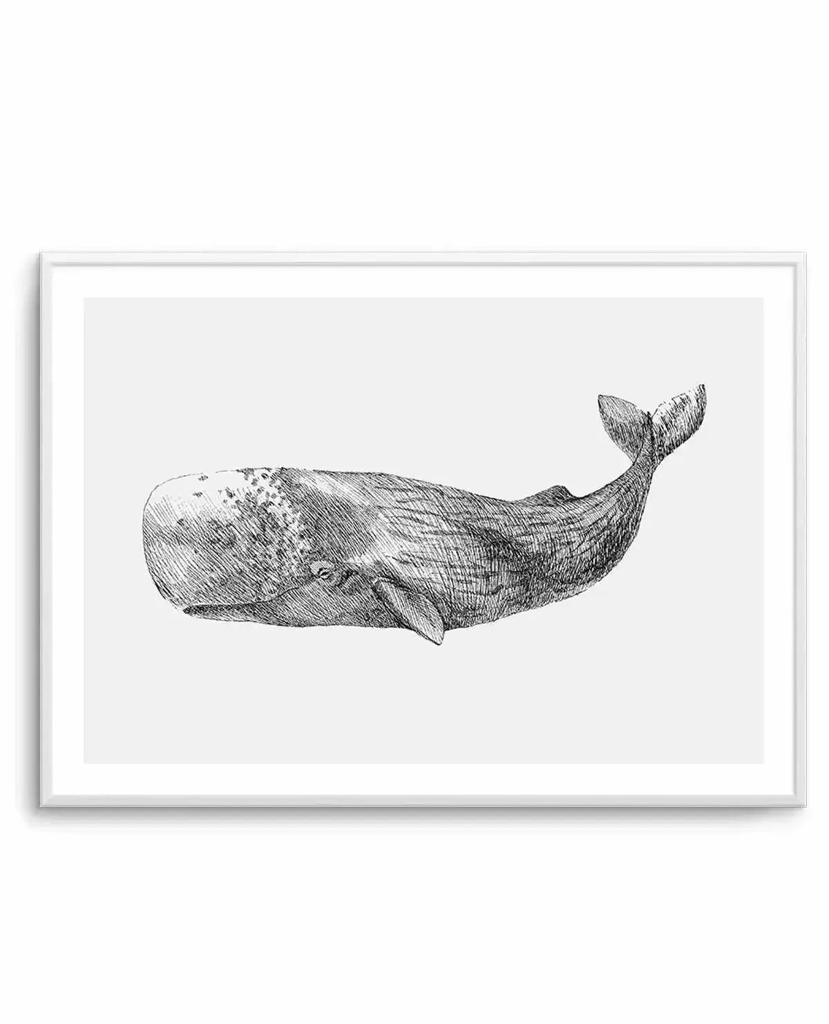 Illustrated Wall Art Print | Cachalot Whale Landscape – Olive et Oriel
